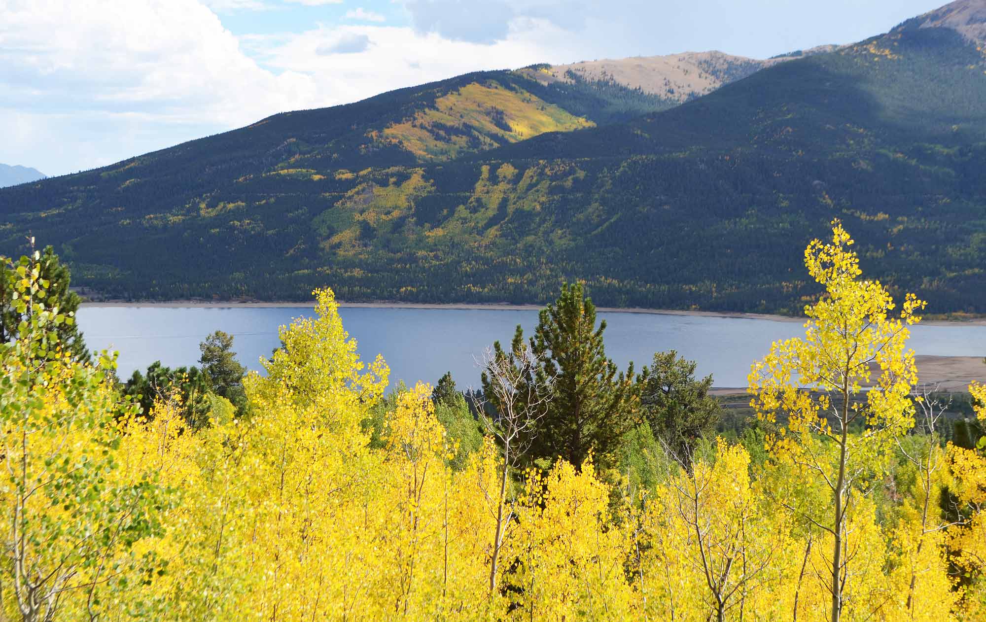 Fall Colors Soar On Another Level: The Best Spots Around Leadville ...