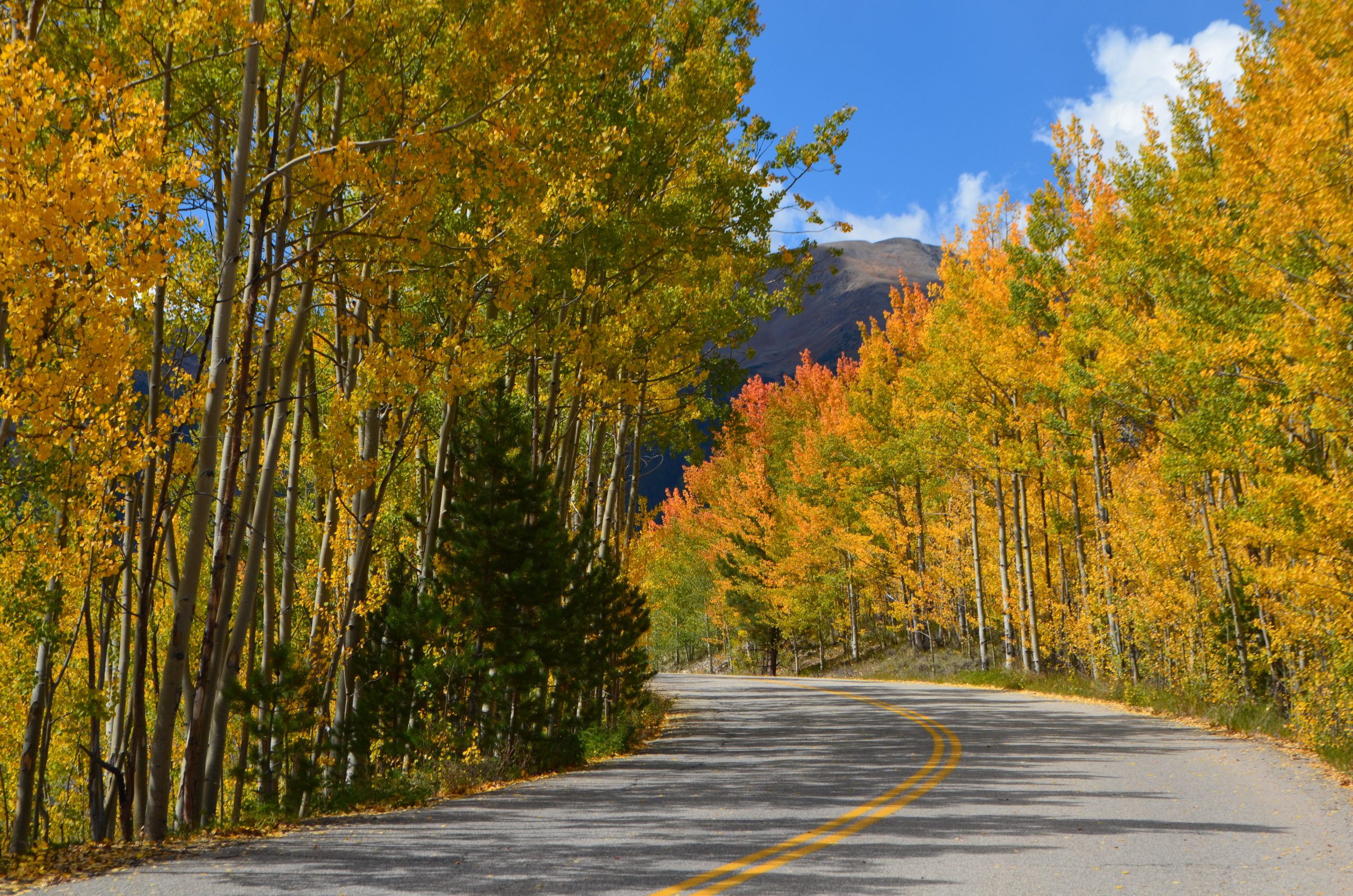 Summer & Fall - Visit Leadville Twin Lakes